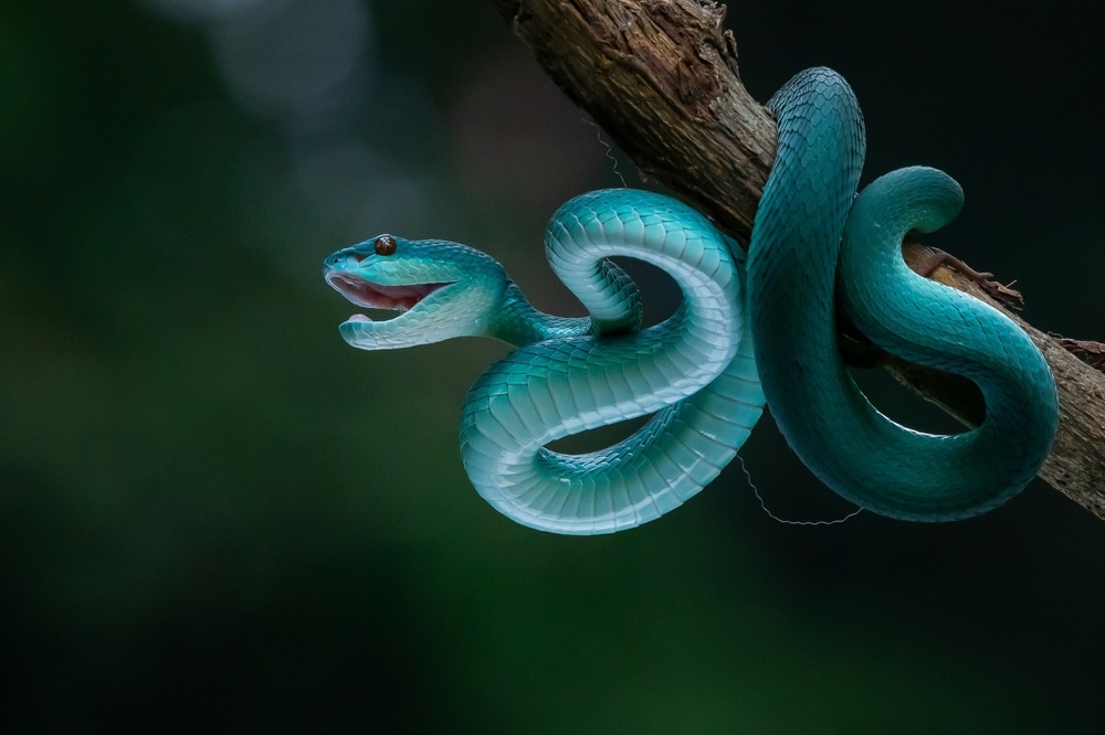 What is Coercive Control in Relationships?│Loukas Law